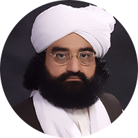 ALL of Pir Naseeruddin Naseer | Sufinama
